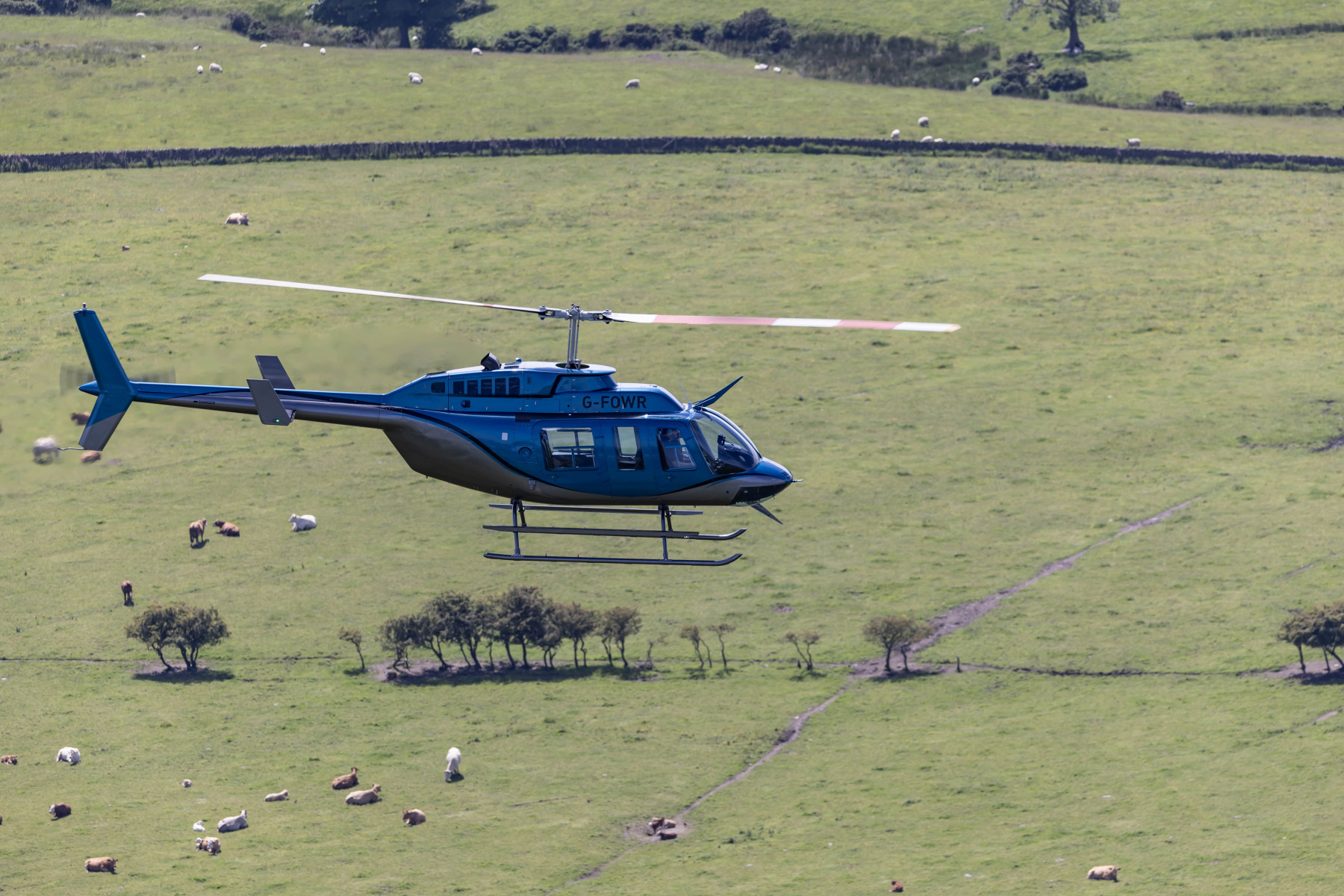 Gallery - Helijet Aviation